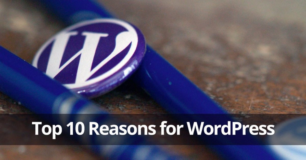 Top 10 Reasons You Should Be Using WordPress for Your Business